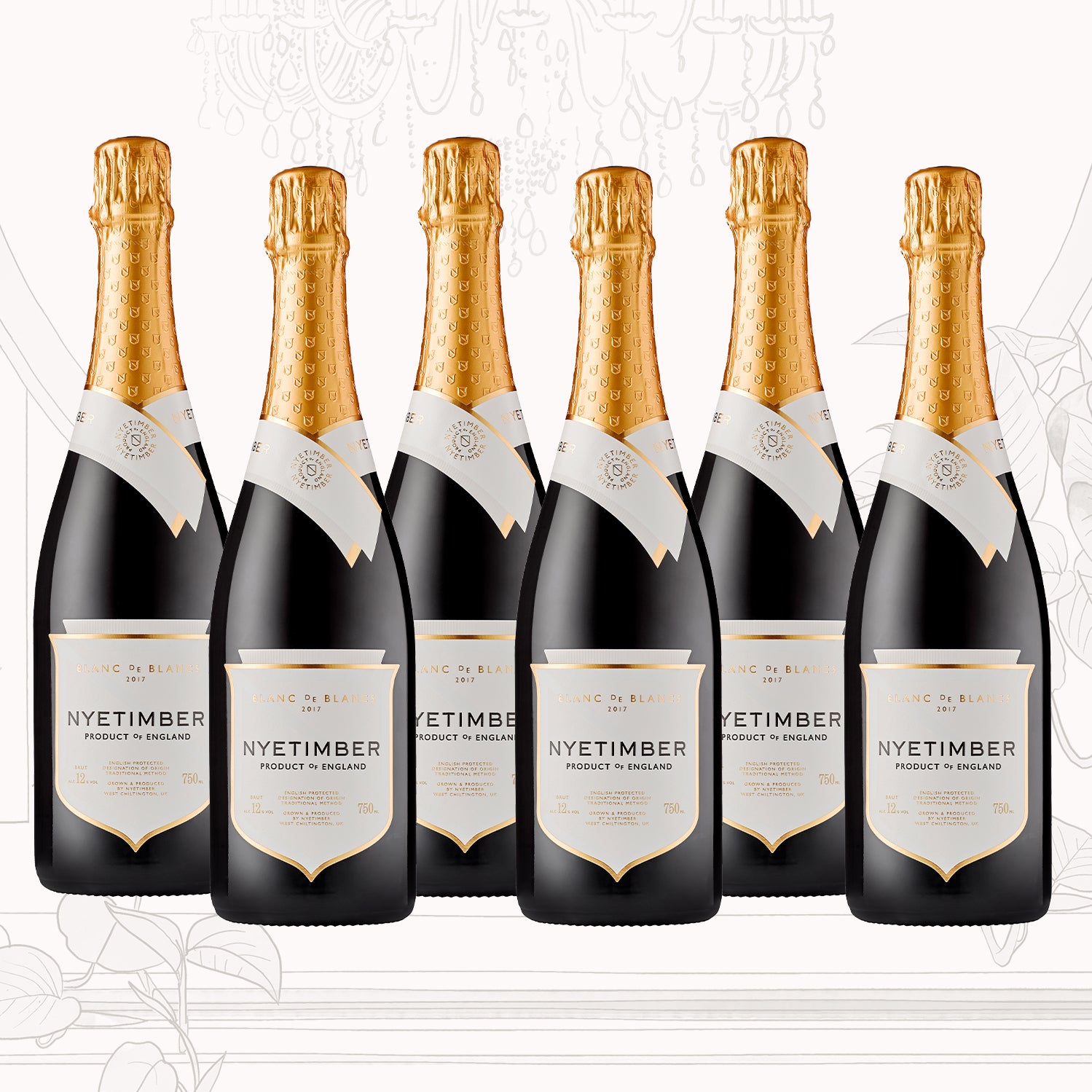 Blanc de Blancs 2017 Case of 6 – Nyetimber